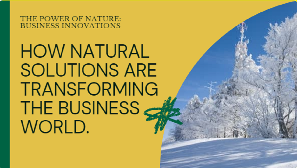 Biomimicry: How Nature Actually Empowers Amazing Business Innovations